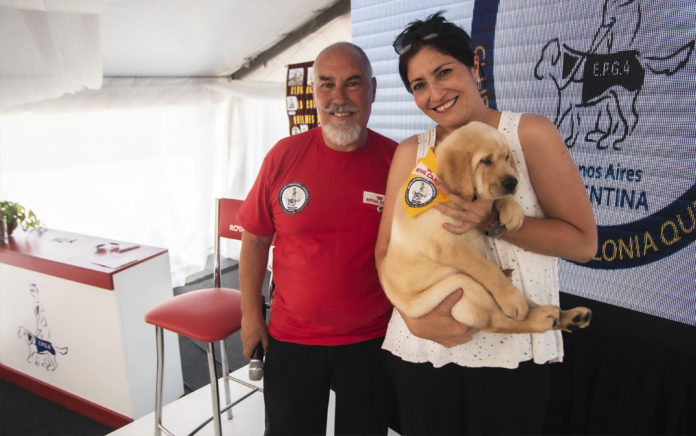 La Escuela de Perros Guías Argentinos realizó la 6ª entrega de perros ...