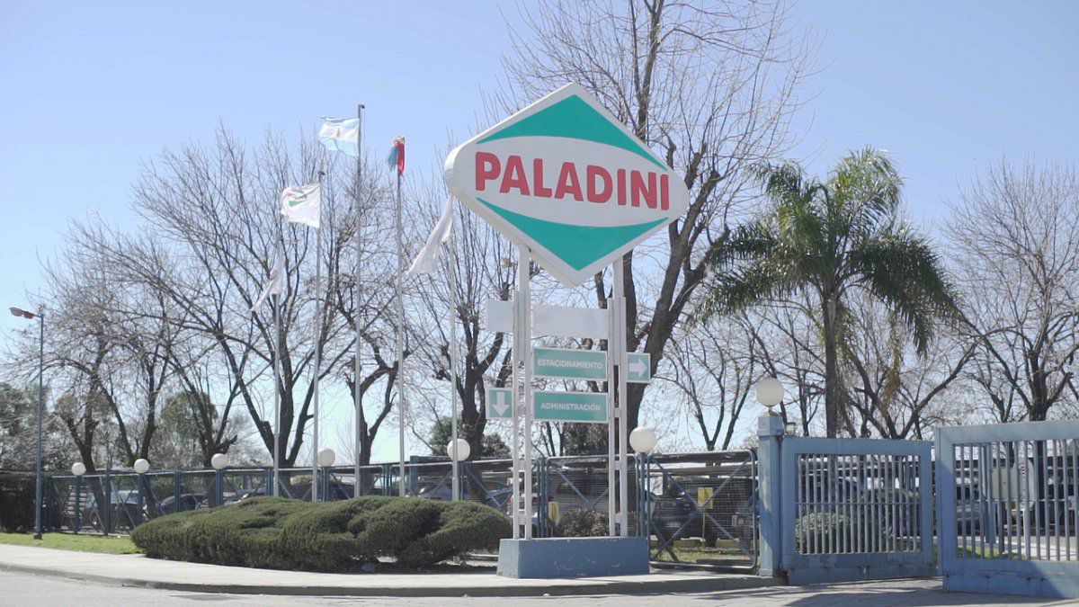 Paladini reafirma su compromiso por la calidad celebrando 20 años de ...
