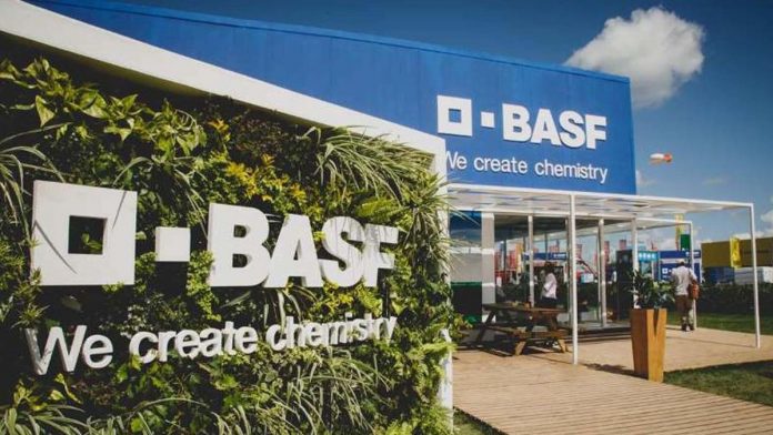 BASF celebra la Semana de la Diversidad e Inclusión - PRESENTE RSE