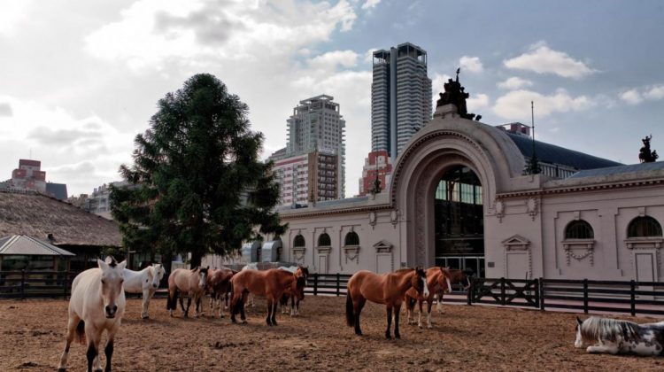 La Sociedad Rural Argentina tendrá su propio sello ambiental - PRESENTE RSE
