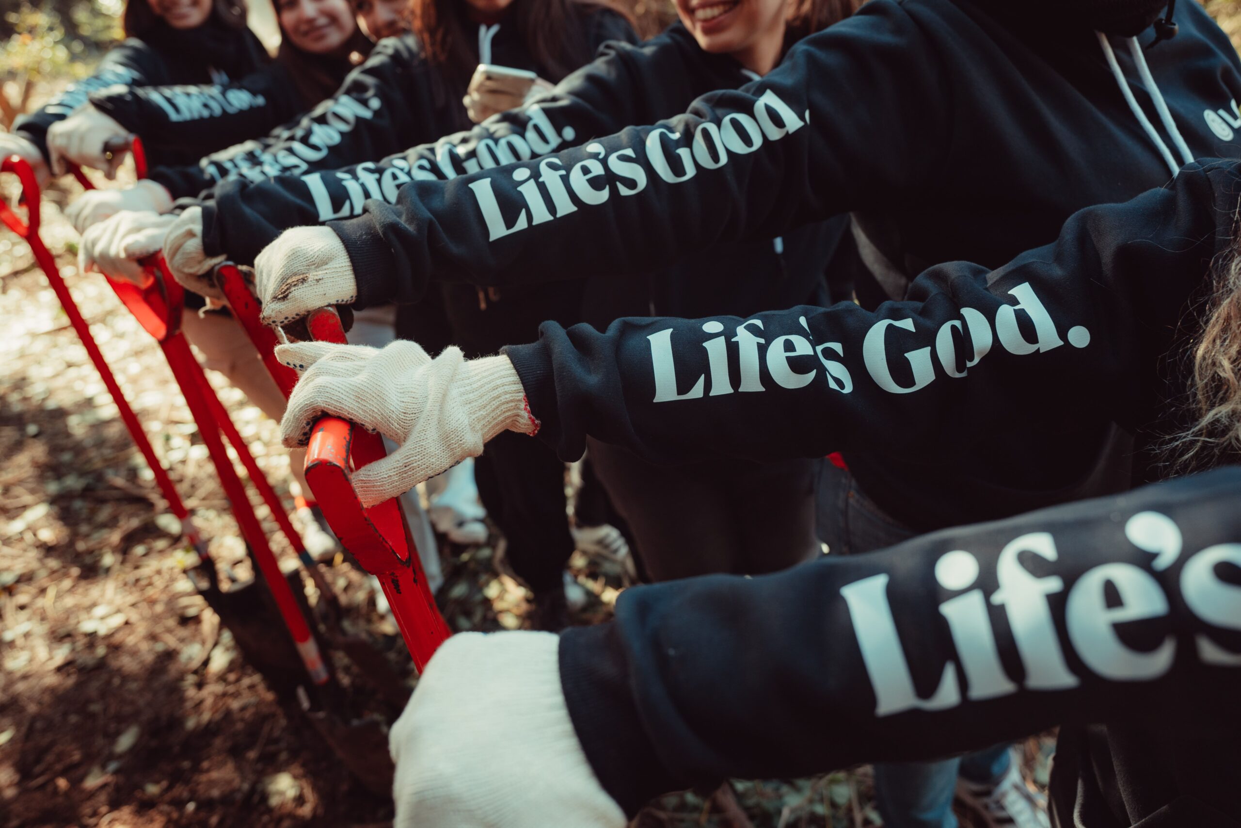 LG Electronics profundiza sus iniciativas de reforestación y suma más ...